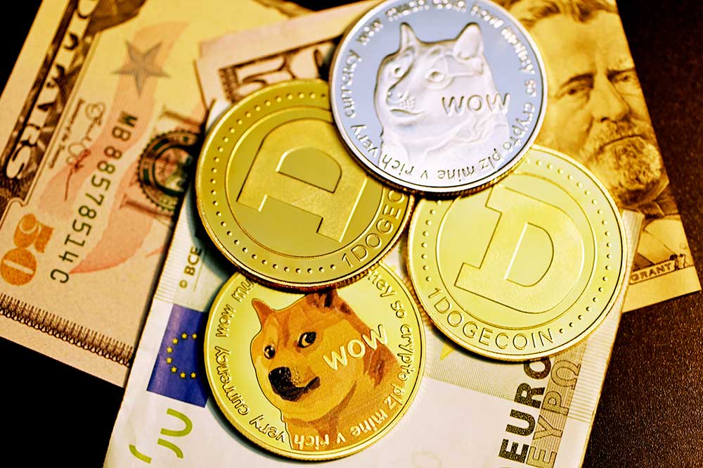 The Rise And Fall Of Meme Coins
