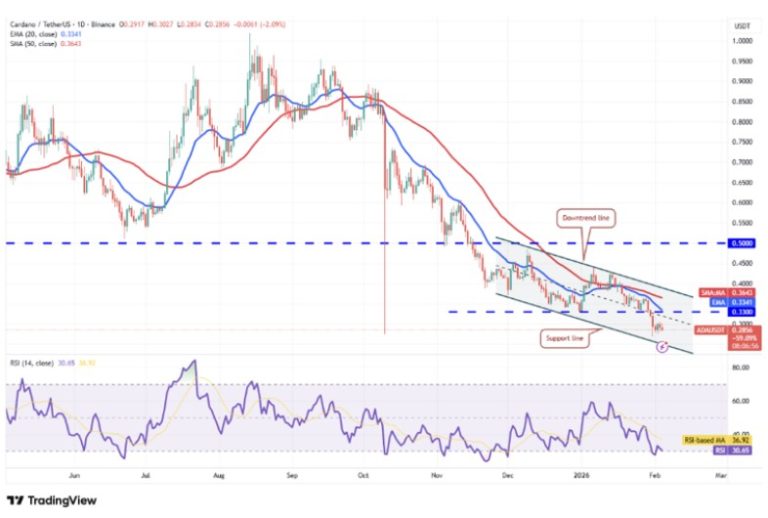 Why Mutuum Finance (MUTM) Could Become One of the Biggest Gainers of ...